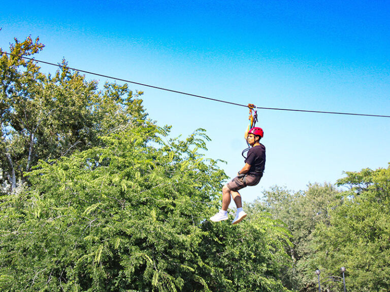 Top 10 Things To Do In Pilanesberg – The Kingdom Resort